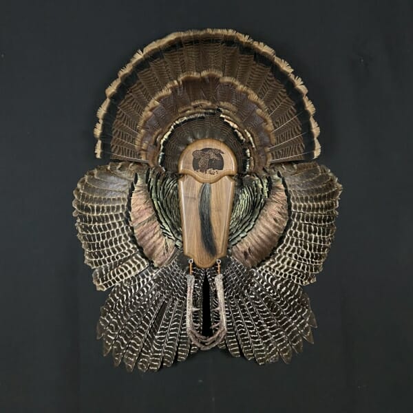 Wild Turkey Mounts | Life-Size Flying, Strutting Rio, Merriam's and Eastern