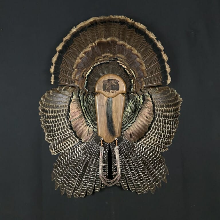 Wild Turkey Mounts | Life-Size Flying, Strutting Rio, Merriam's and Eastern