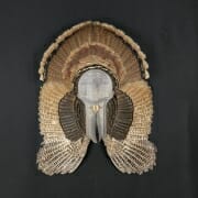 Wild Turkey Mounts | Life-Size Flying, Strutting Rio, Merriam's and Eastern