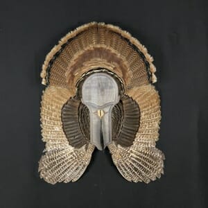 Wild Turkey Mounts | Life-Size Flying, Strutting Rio, Merriam's and Eastern