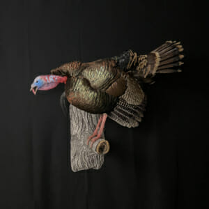 Wild Turkey Mounts | Life-Size Flying, Strutting Rio, Merriam's and Eastern
