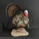 Wild Turkey Mounts | Life-Size Flying, Strutting Rio, Merriam's and Eastern