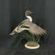 Pintail Mount | Pintail Drake Duck Mounts | Texas Waterfowl Taxidermy