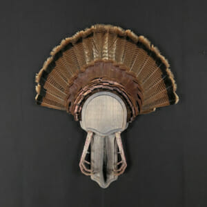 Wild Turkey Mounts | Life-Size Flying, Strutting Rio, Merriam's and Eastern