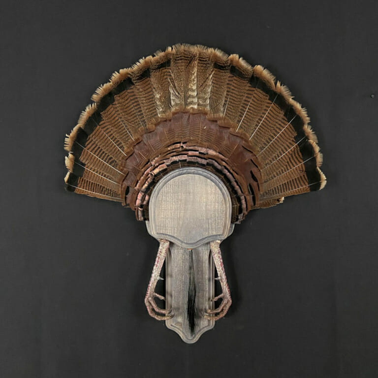 Wild Turkey Mounts | Life-Size Flying, Strutting Rio, Merriam's and Eastern